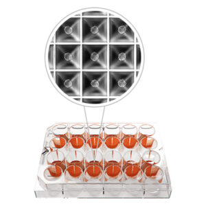 Heidolph, Accessories, 3D Cell Culture Plates - Prism Research Glass